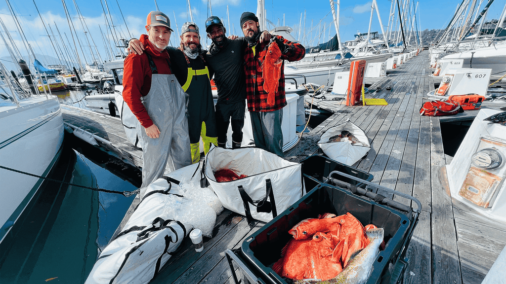 Buffalo Gear | High Quality Insulated Fish Bags, Cooler Bags and more