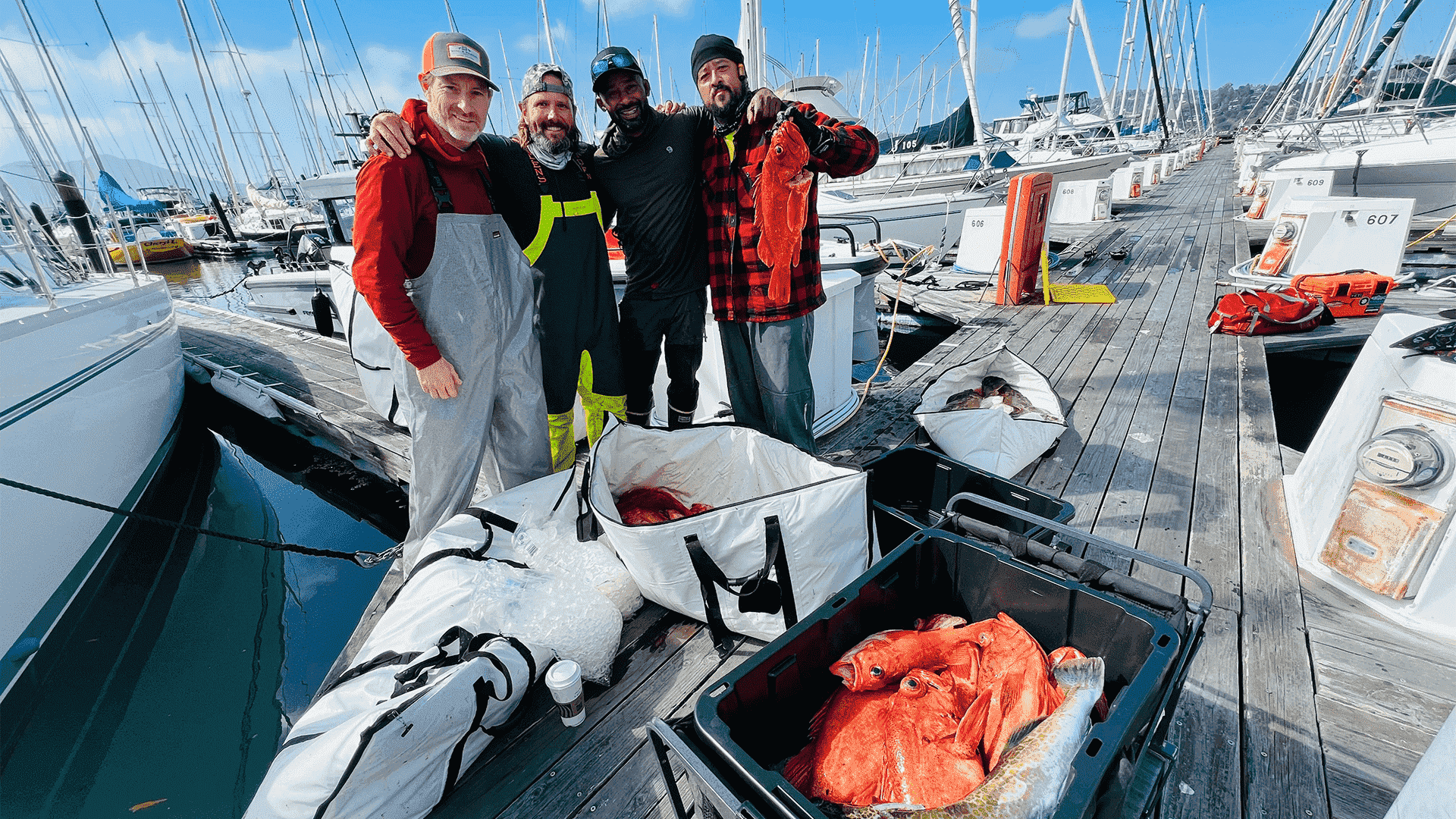 Buffalo Gear | High Quality Insulated Fish Bags, Cooler Bags and more